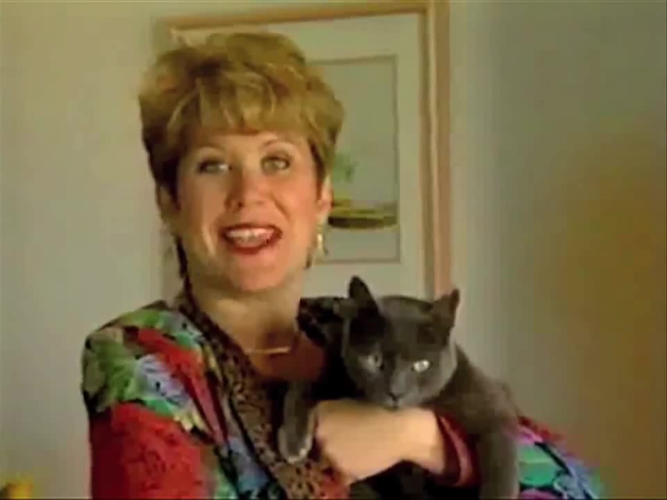 So Your Kitty Wants A Pet? - Coub