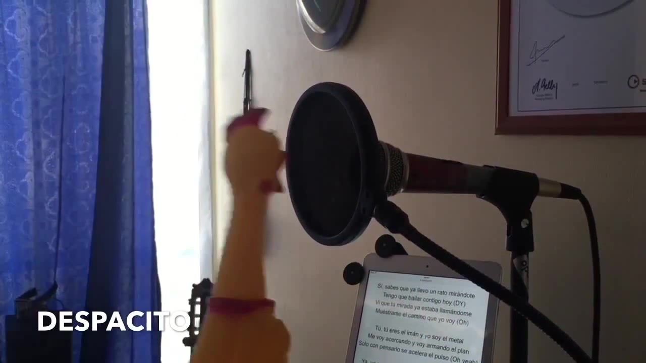 Despacito Chicken Version (Mr. Chicken) - Coub
