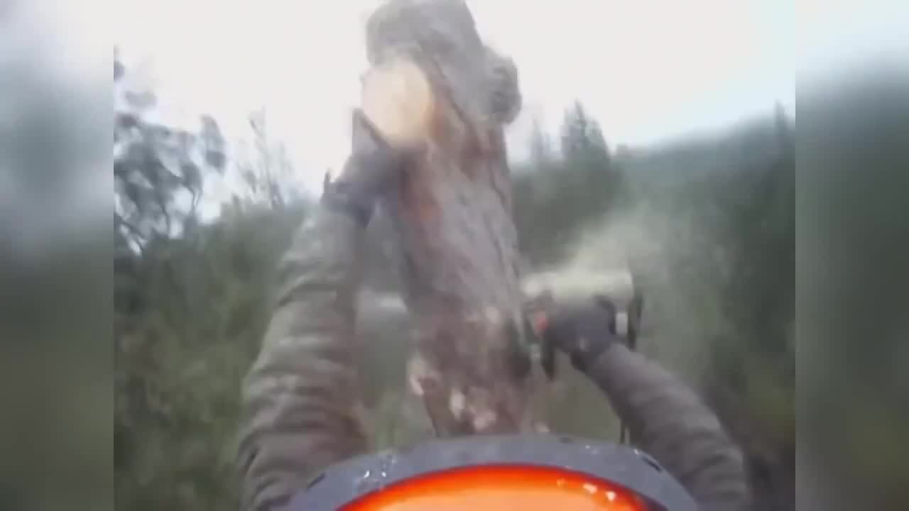 suffer,bitch! - Coub