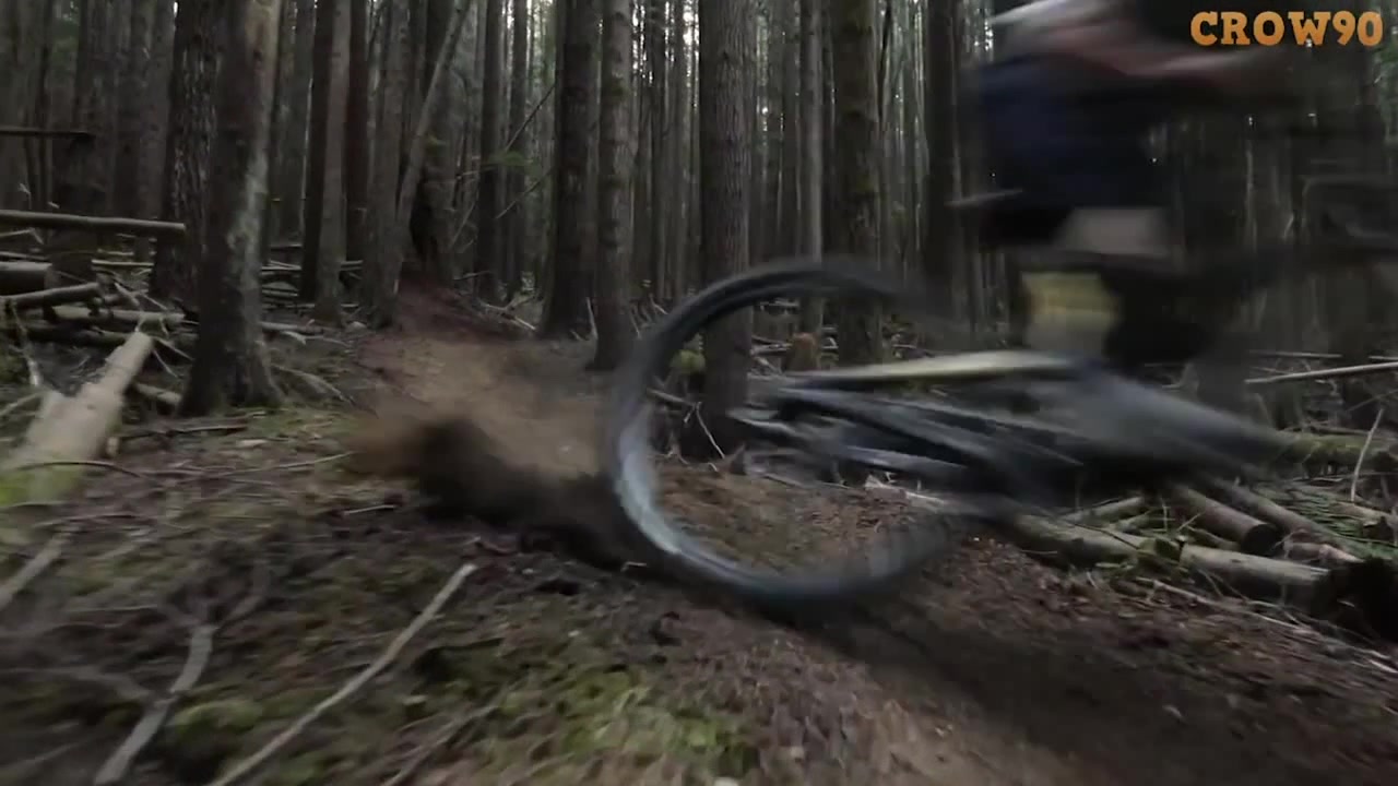 Downhill & Freeride - Coub