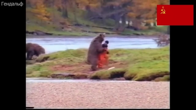 Soviet bears - Coub