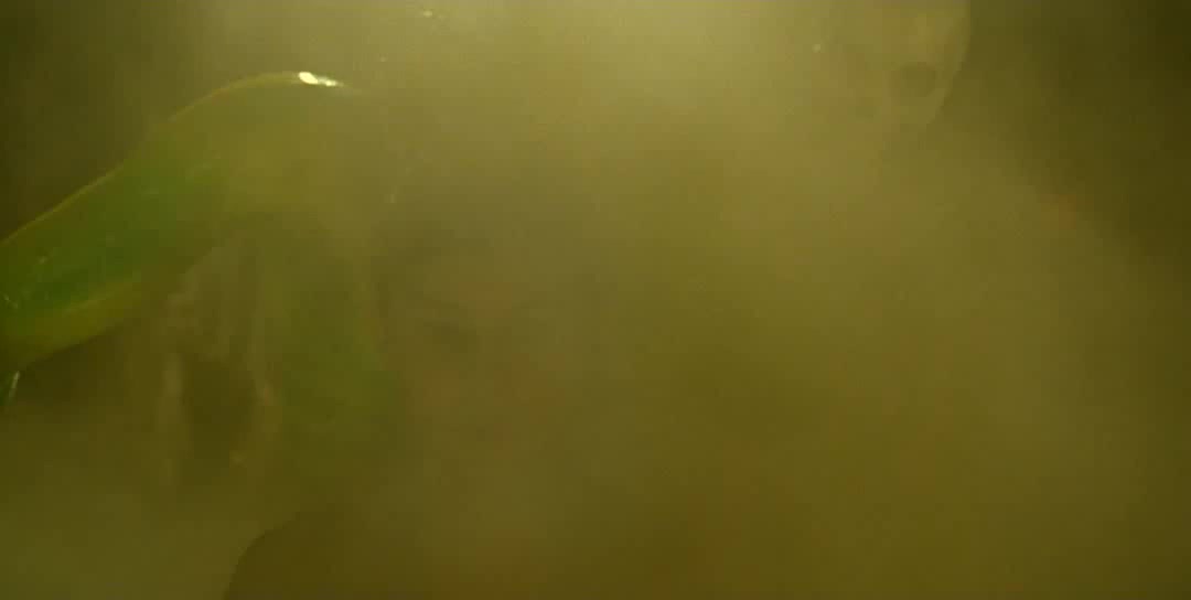 Sweet Harmony - Coub