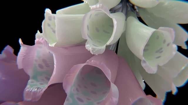 Flume - Take a Chance feat. Little Dragon - Coub