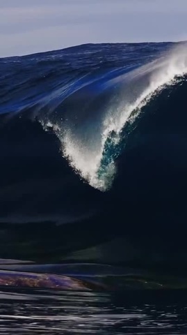 The Ocean's Glory - Coub