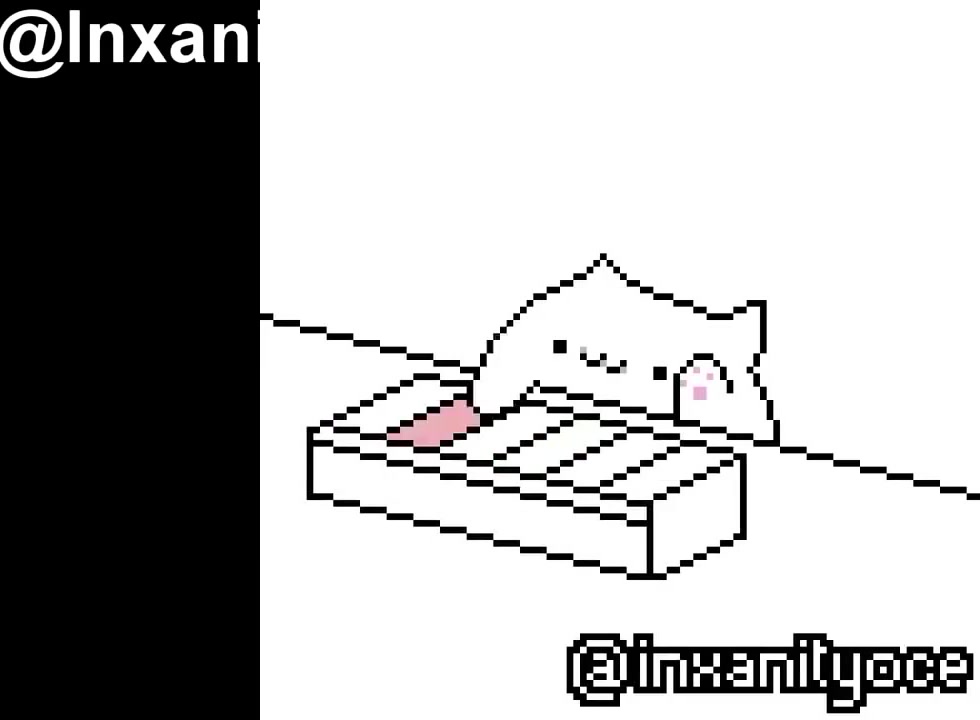 "Bongo Cat" MEME COMPILATION - Coub