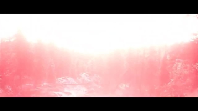 the first order - Coub