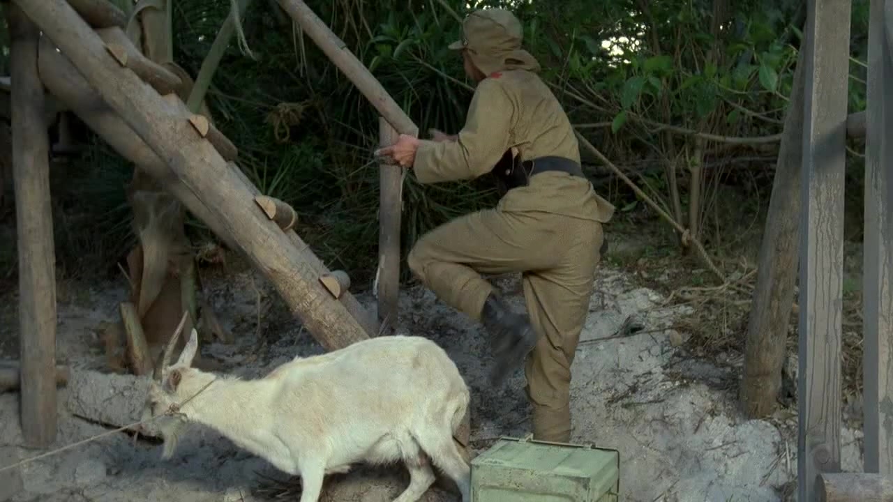 Főleg Japán irigyelhetné meg - Coub