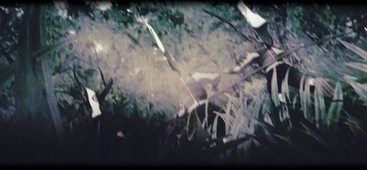 DEATH NINJA 死忍者 - Coub