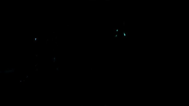 PREDATOR | PREY - Coub