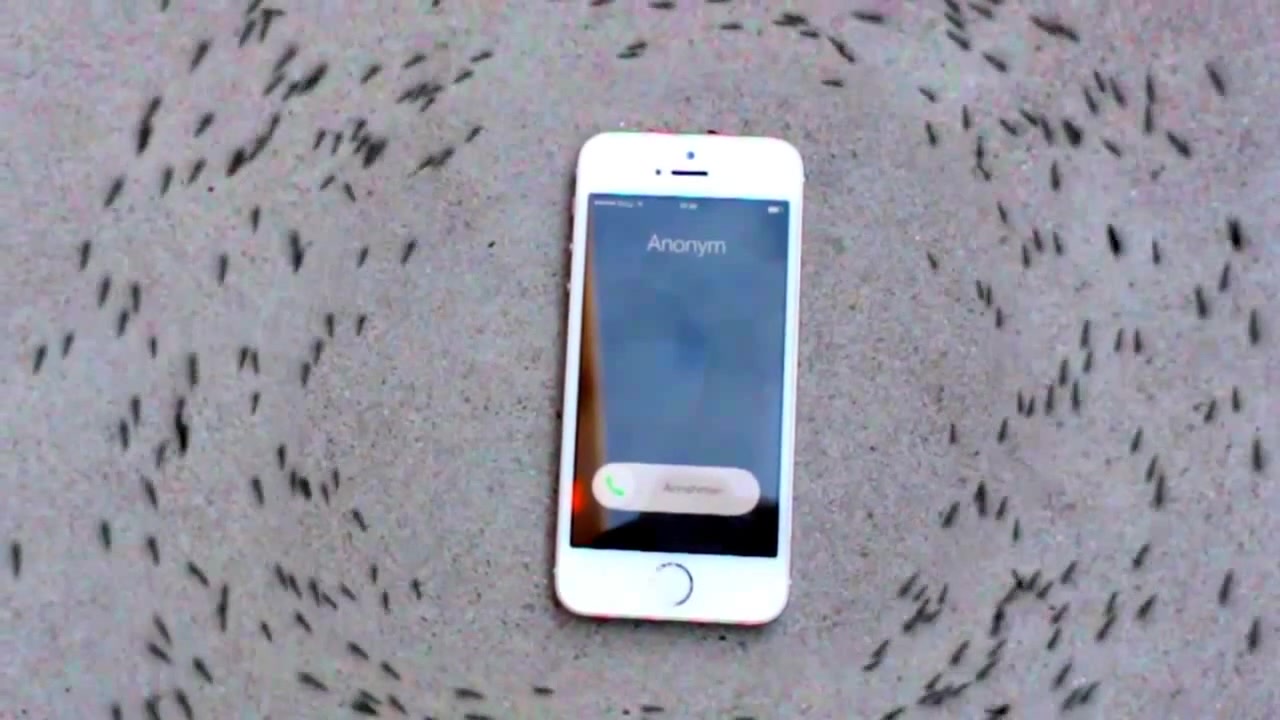 iphone ant control - Coub