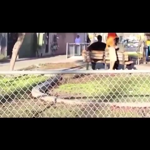 PEE PRANK😂😂😂 FOLLOW US FOR MORE PRANKS! - Coub