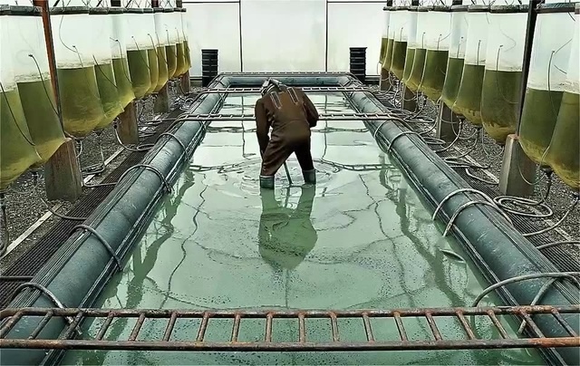 blade runner 2049 - Coub