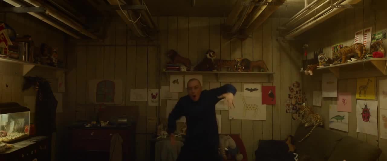 Hedwig dance SPLIT movie - Coub