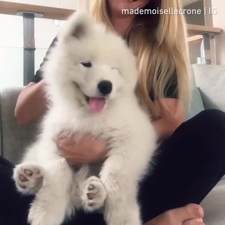 Mom, don’t stop, feels soooooo good. - Coub