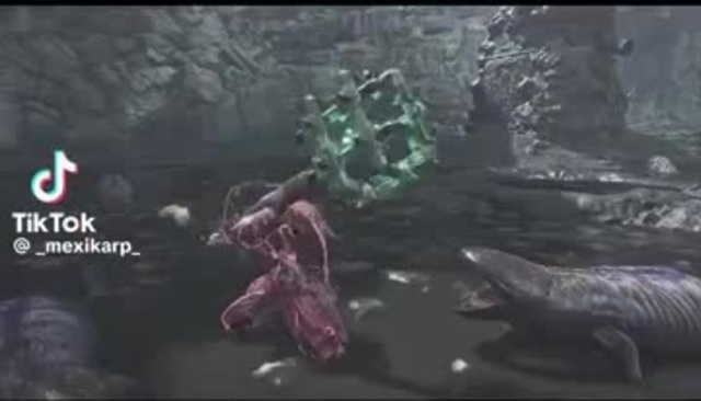 You spin me round lizard right round - Coub