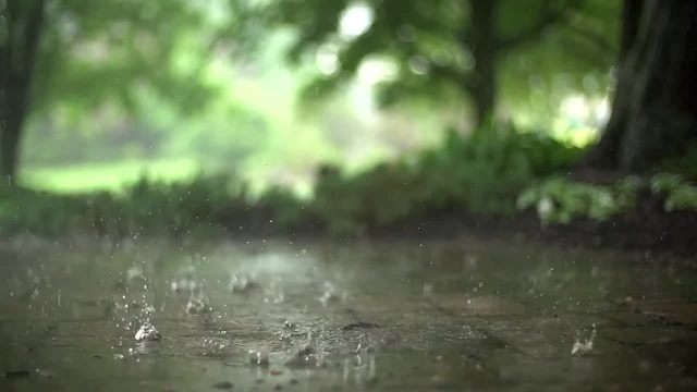 Last Summer Rain - Coub