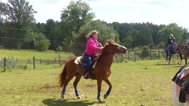 Horse Cena is Back - Coub