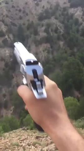 DESERT EAGLE ECHO - Coub