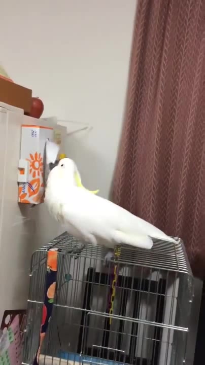 One More Time - Coub