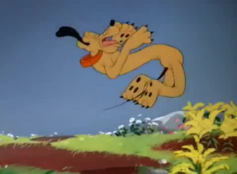 Pluto scratched from poison ivy - Coub