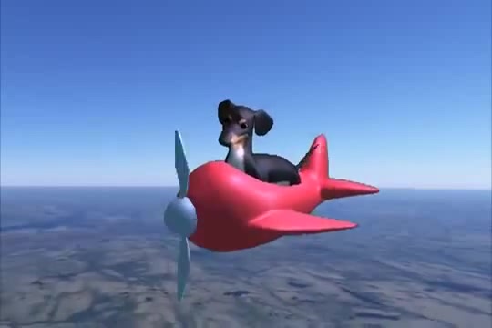 Dog of Wisdom - Coub