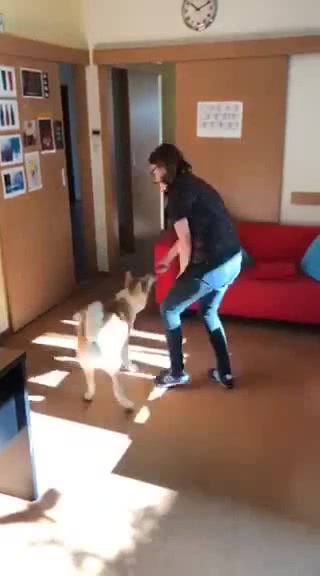 Csárdás with Gyömbér Doge - Coub