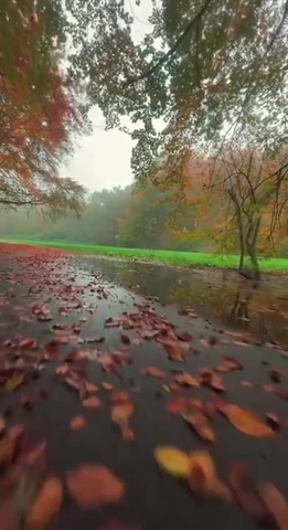 Осенний вечер | Autumn evening - Coub