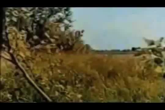 Erika - famous german marching song of WW2 - Coub