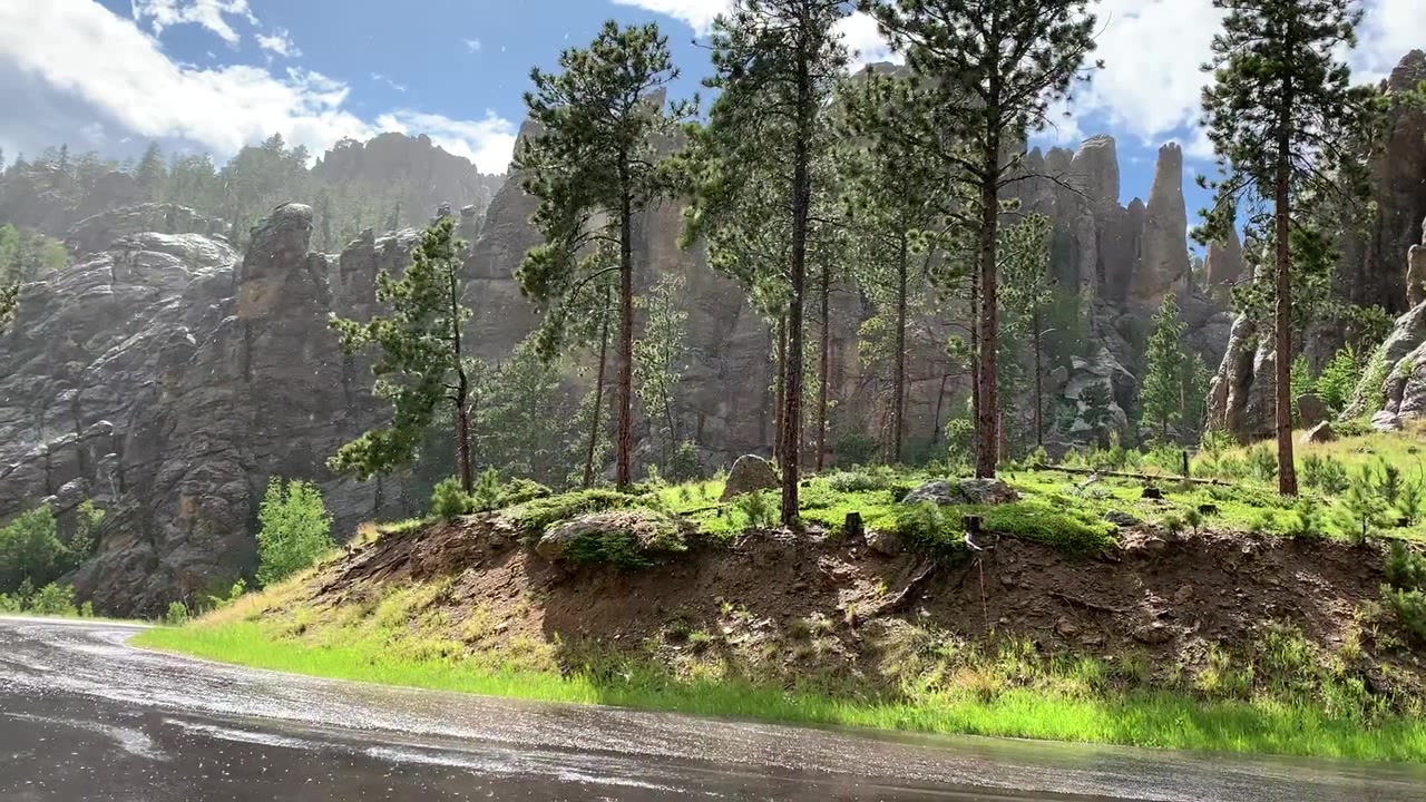 Quiet Sunny Drizzle - Coub