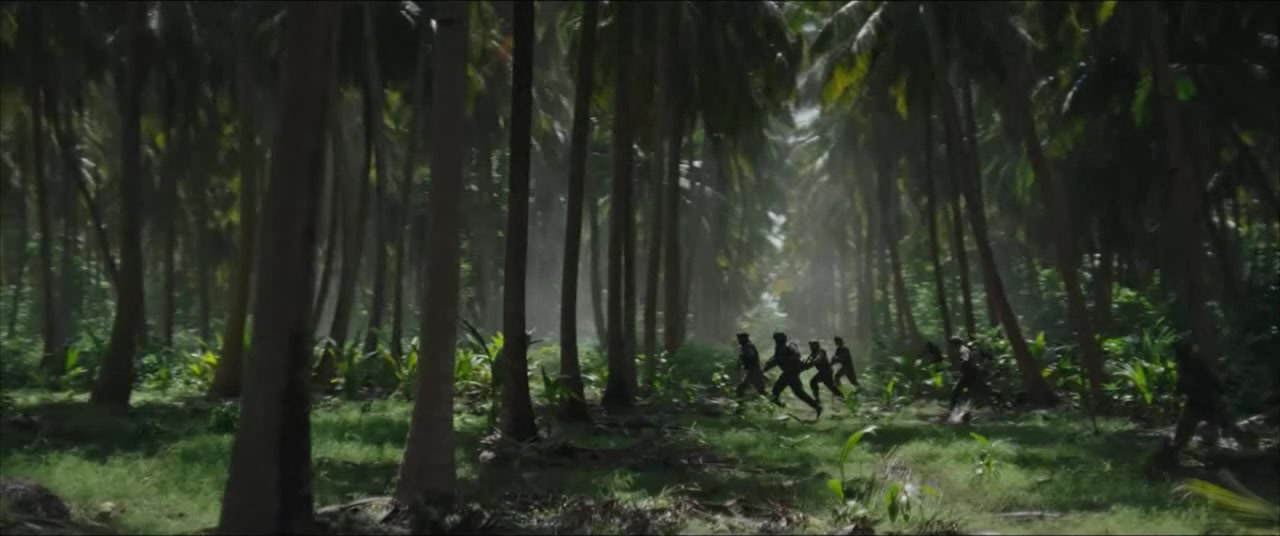 Star Wars Rogue One Vietnam Flashbacks (Run Through The Jungle) - Coub