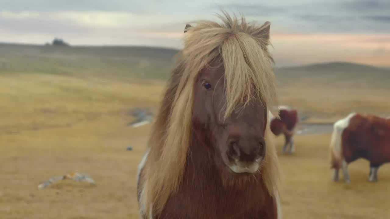 Three - The Pony #DancePonyDance - Coub