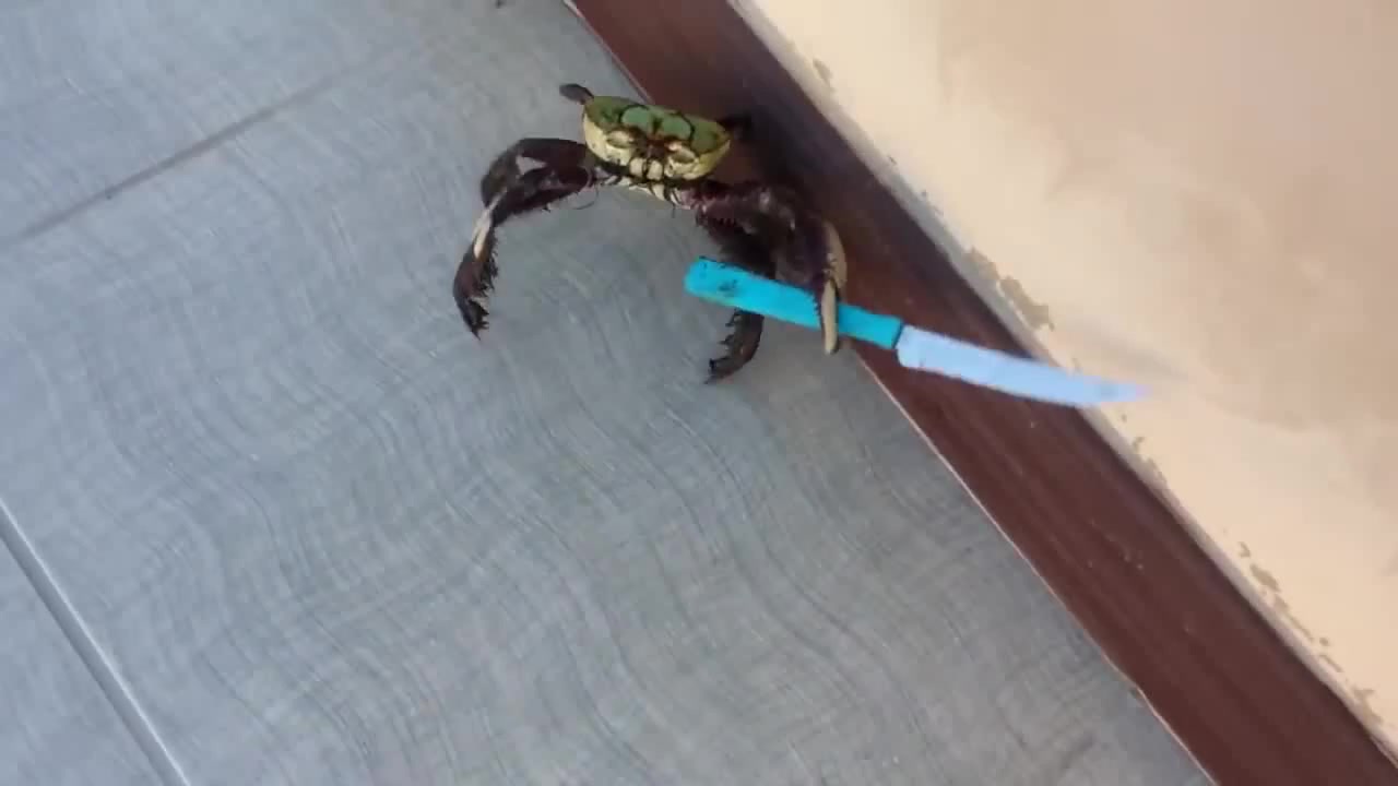 Attack Its Weak Point For Massive Damage