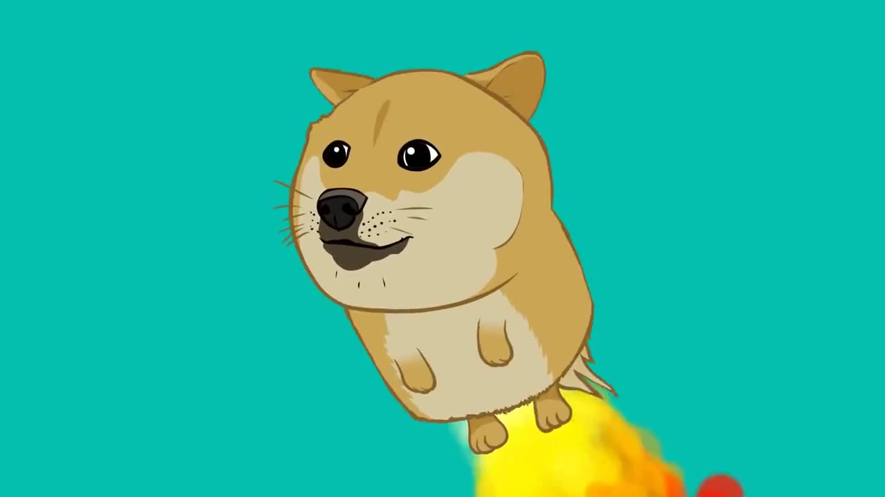 Dogey Style- Fly - Coub