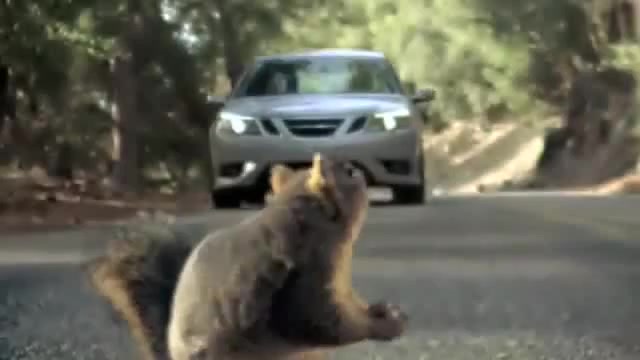 bridgestone scream - Coub