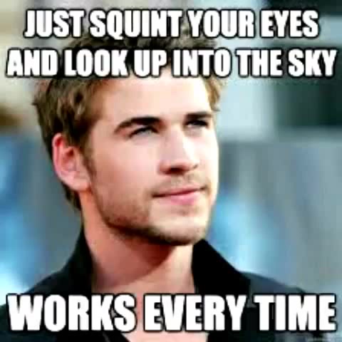 Liam Hemsworth Meme Funny Liam And Chris Hemsworth Google Search