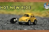 minuscule spider driver