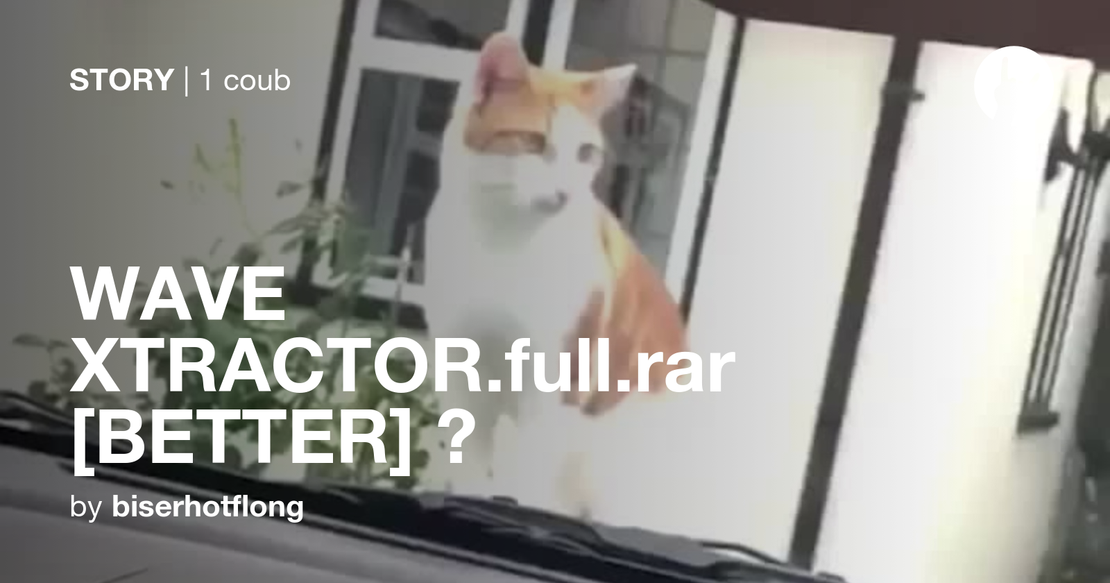 WAVE XTRACTOR.full.rar [BETTER] 📥 - Coub