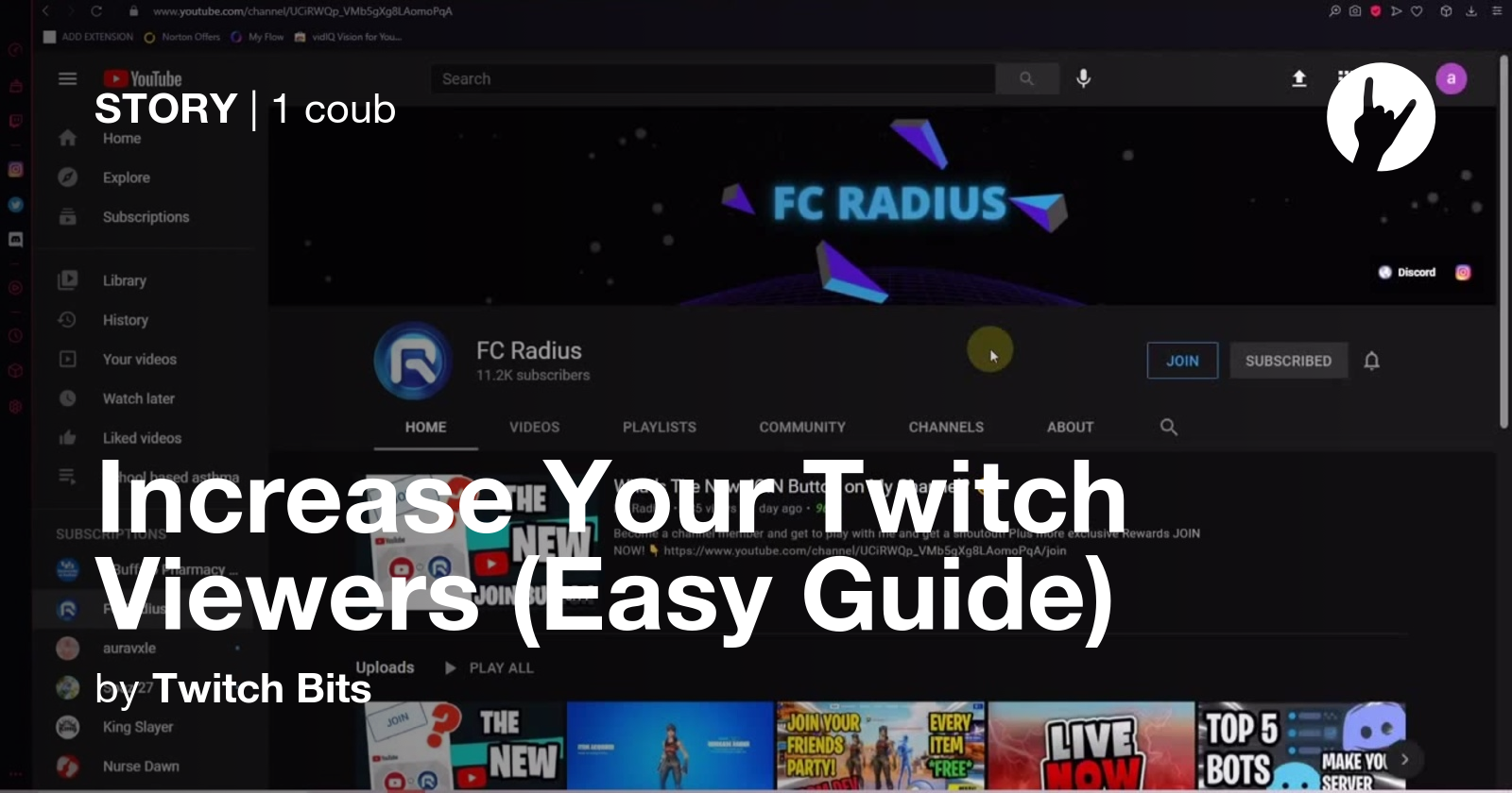 Increase Your Twitch Viewers (Easy Guide) - Coub