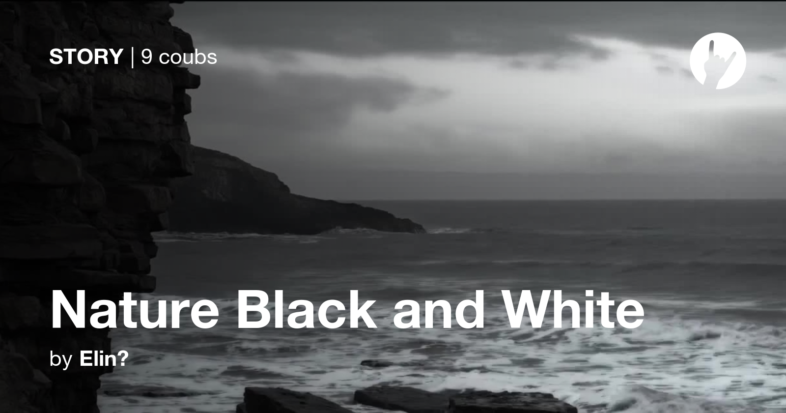 Nature Black and White - Coub