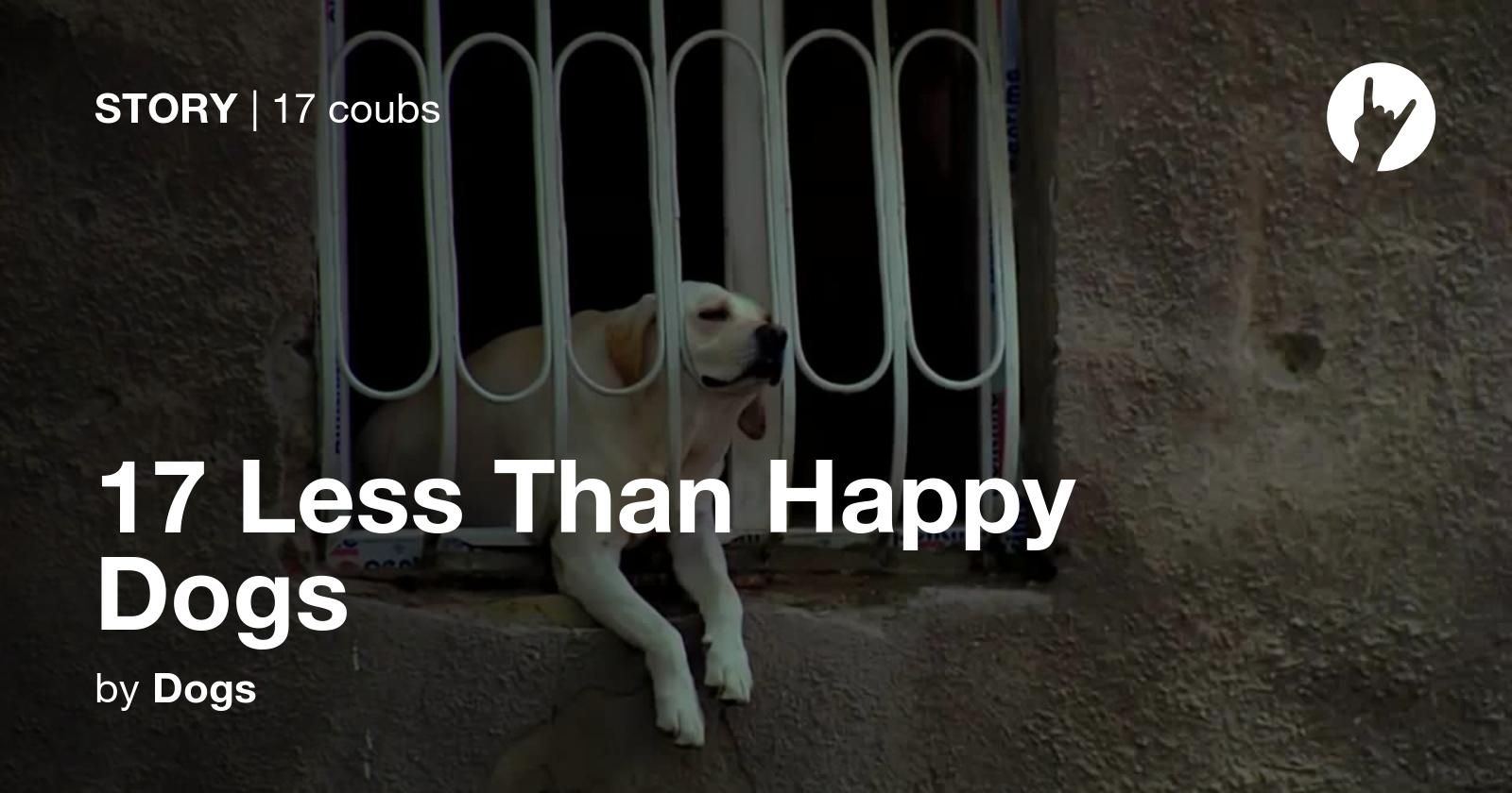 17 Less Than Happy Dogs - Coub