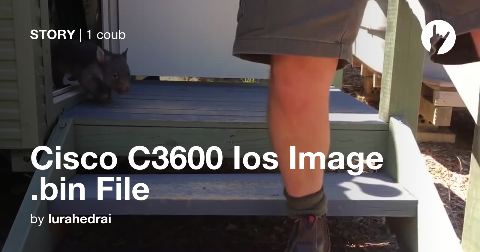 Cisco C3600 Ios Image .bin File - Coub