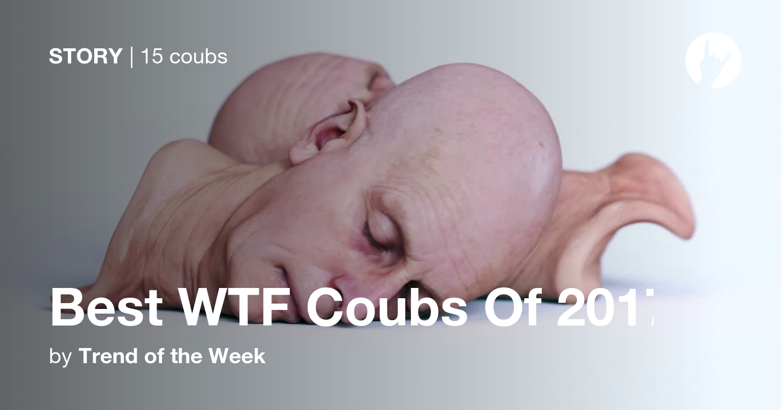 Best WTF Coubs Of 2017 - Coub