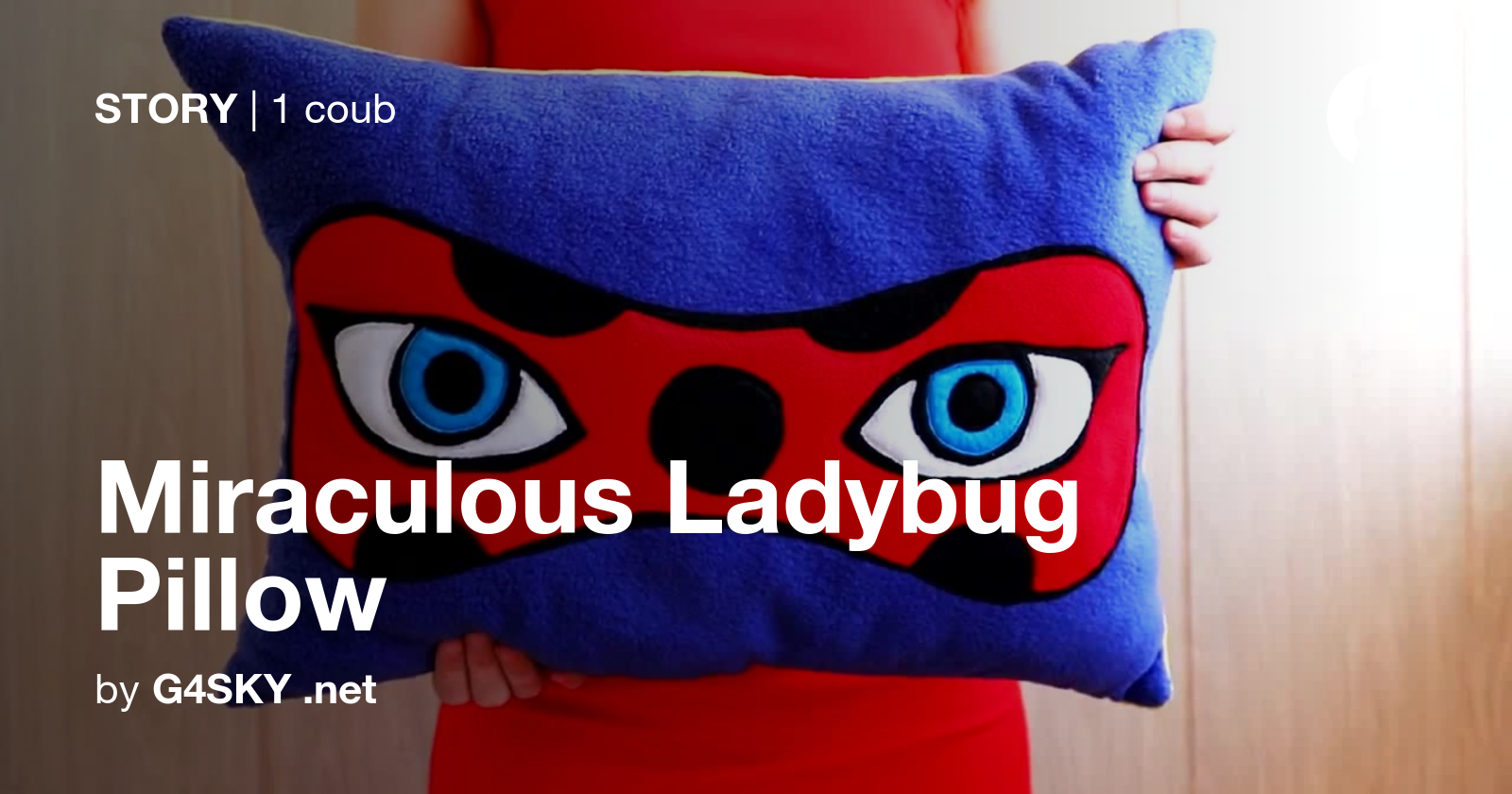 Miraculous Ladybug Pillow - Coub