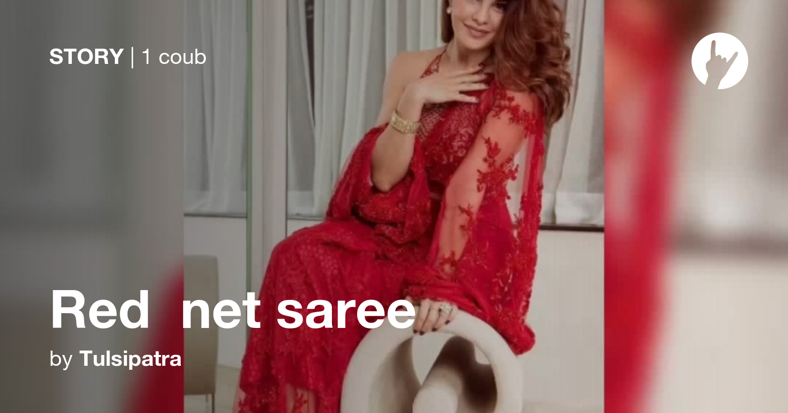 Red net saree - Coub