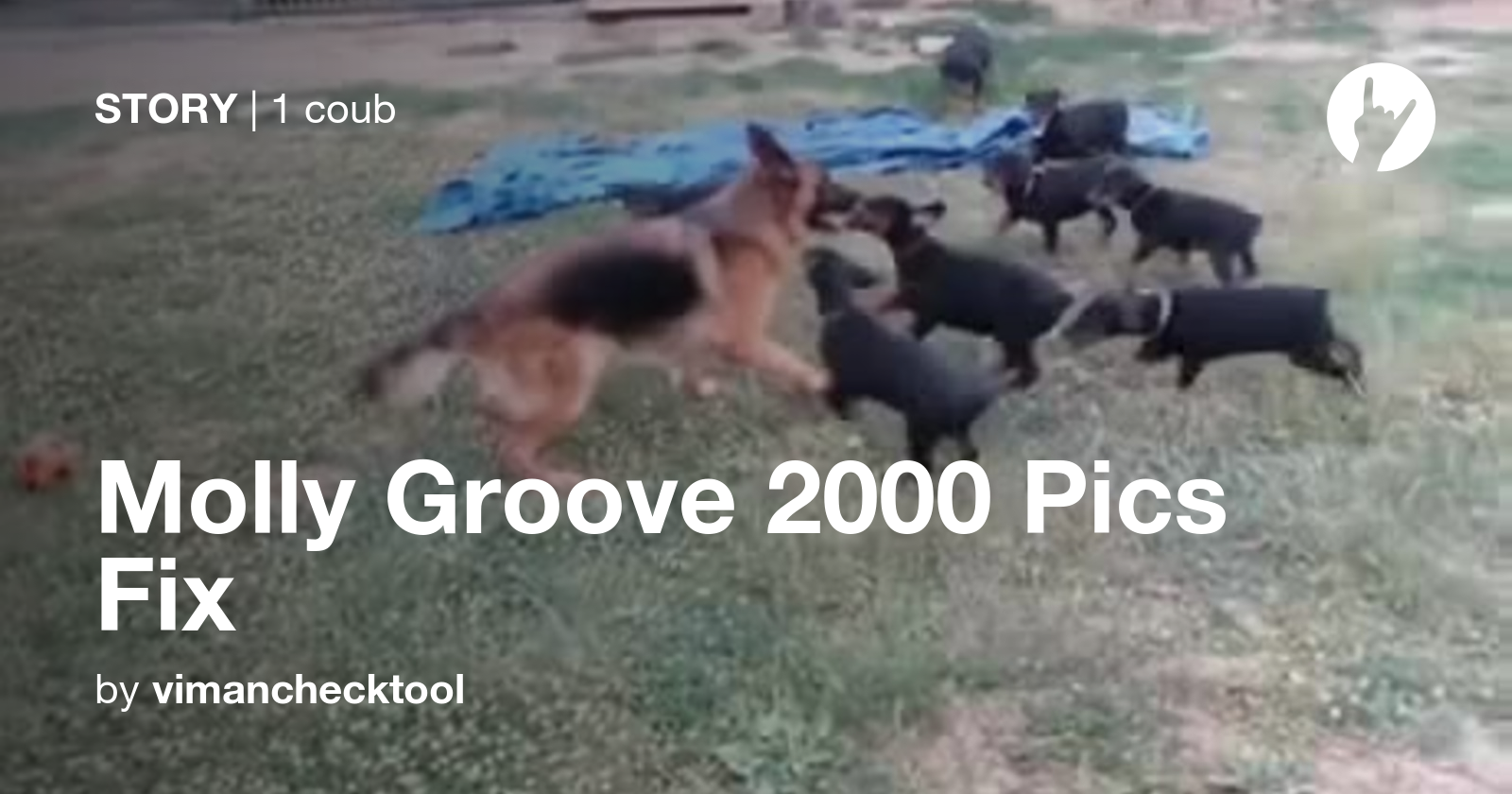 Molly Groove 2000 Pics Fix - Coub