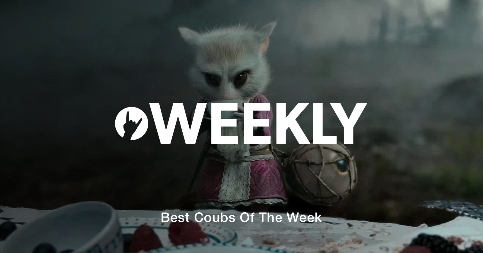 Weekly coubs - Nov 21 — Nov 27, 2022